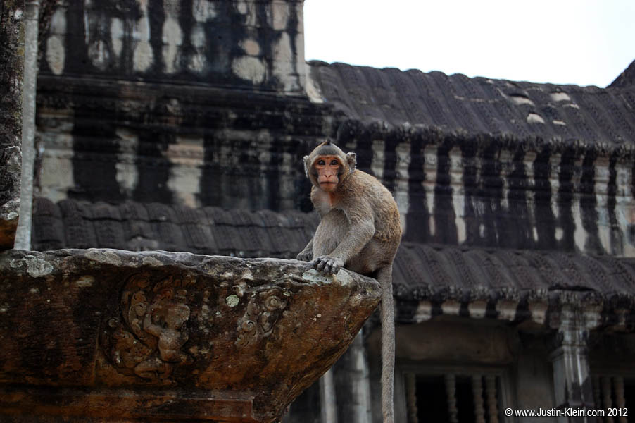 Exploring Angkor: First Day Observations – Justin-Klein.com – Life of a ...